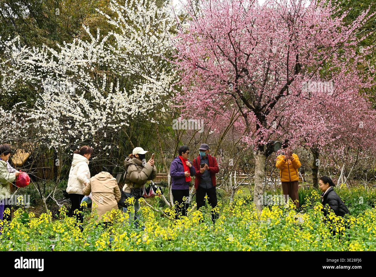 Tourists visit the Taohuayuan scenic area in Youyang Tujia and Miao ...