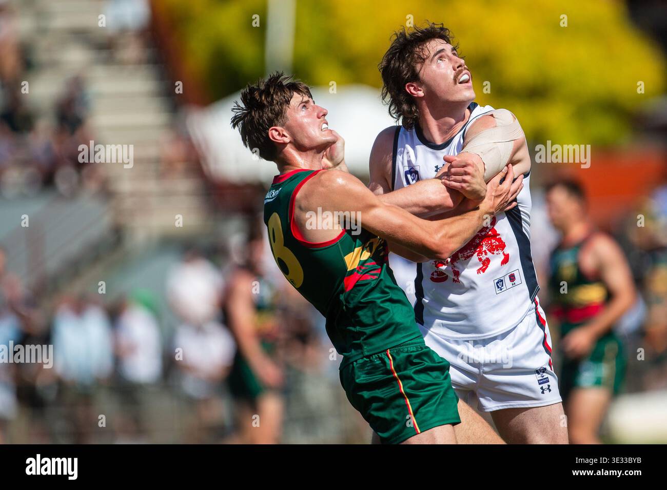 Max Mapley of Tasmania and Hugh Furphy of Coburg during the VFL match ...