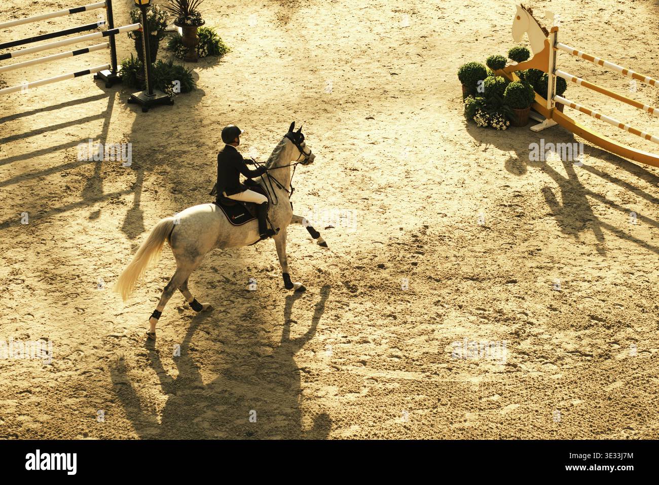 Marc DILASSER, FRA, MAKE MY DAY Z DU GEVRES during the Saut Hermès 2026 ...