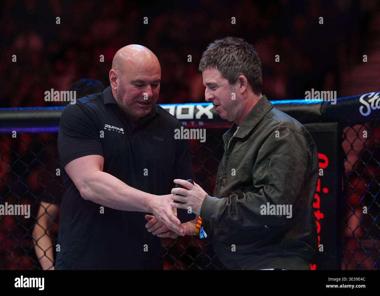 Noel Gallagher and Dana White during UFC Fight Night at The O2, London ...