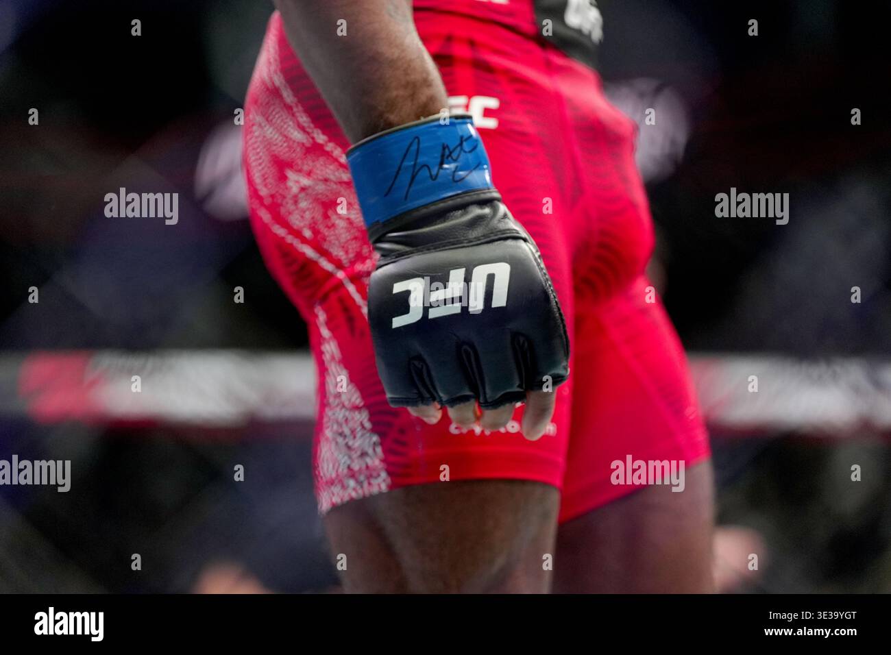 Ufc glove hi-res stock photography and images - Alamy