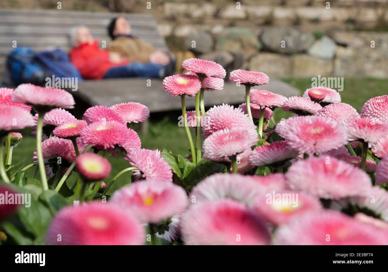 22 March 2026, Baden-Württemberg, Bad Waldsee: A man and a woman lie on ...