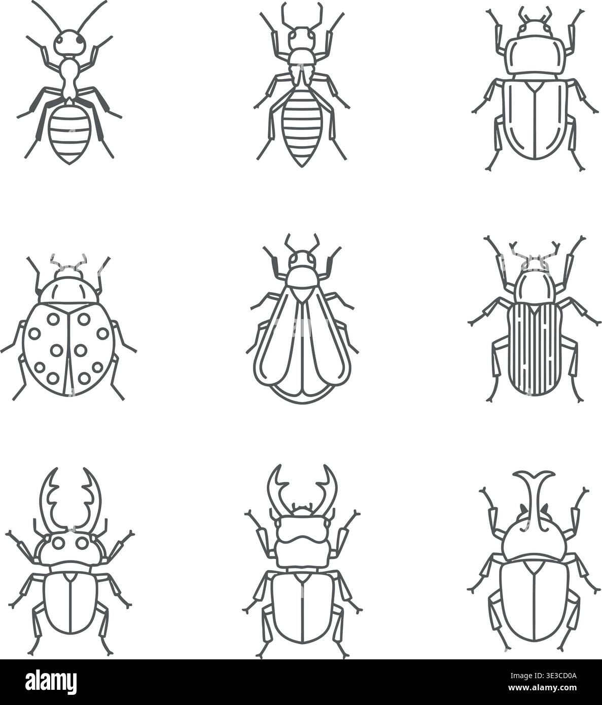 Minimalist Fly & Insect Line Art Icon Set, Housefly Vector Outlines ...