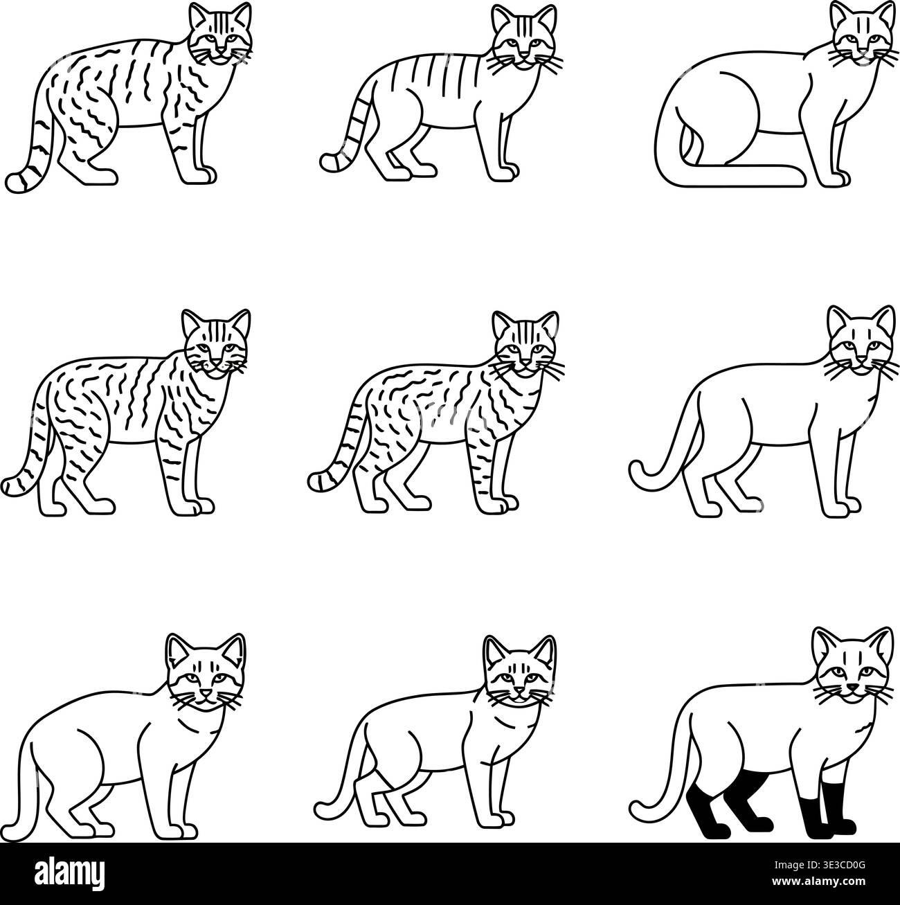 Minimalist Domestic Cat Breeds Line Art Icon Set, Tabby, Solid ...