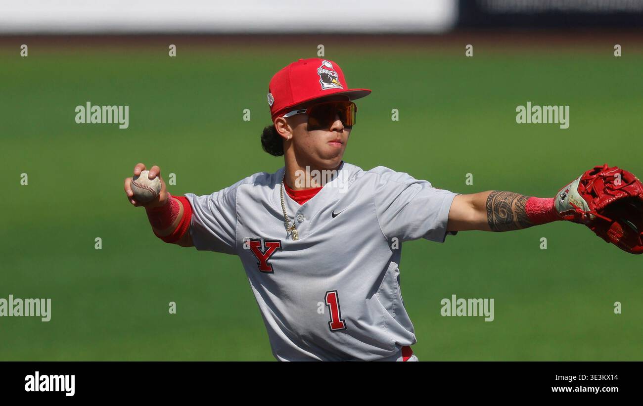 Youngstown State infielder Alex Jang (1) during an NCAA baseball game ...