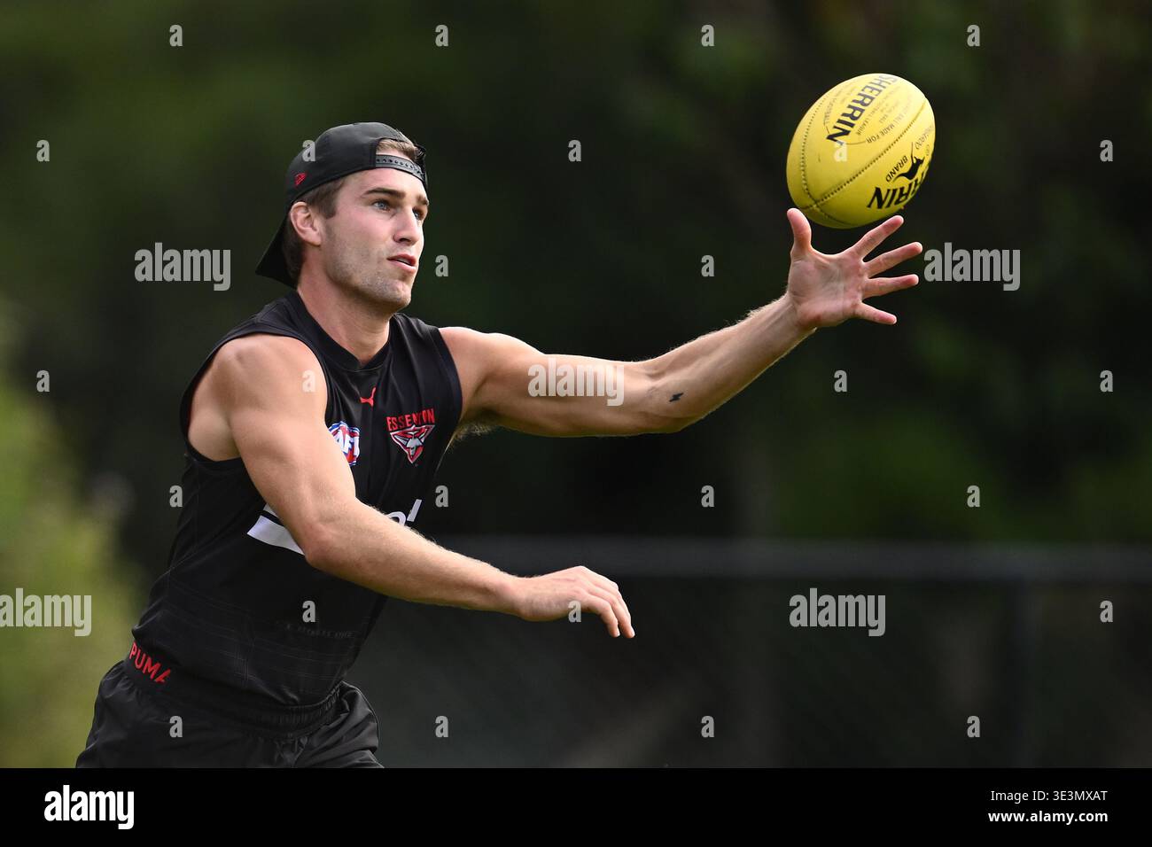 Matt Guelfi of the Bombers during an AFL training session at The Hanger ...