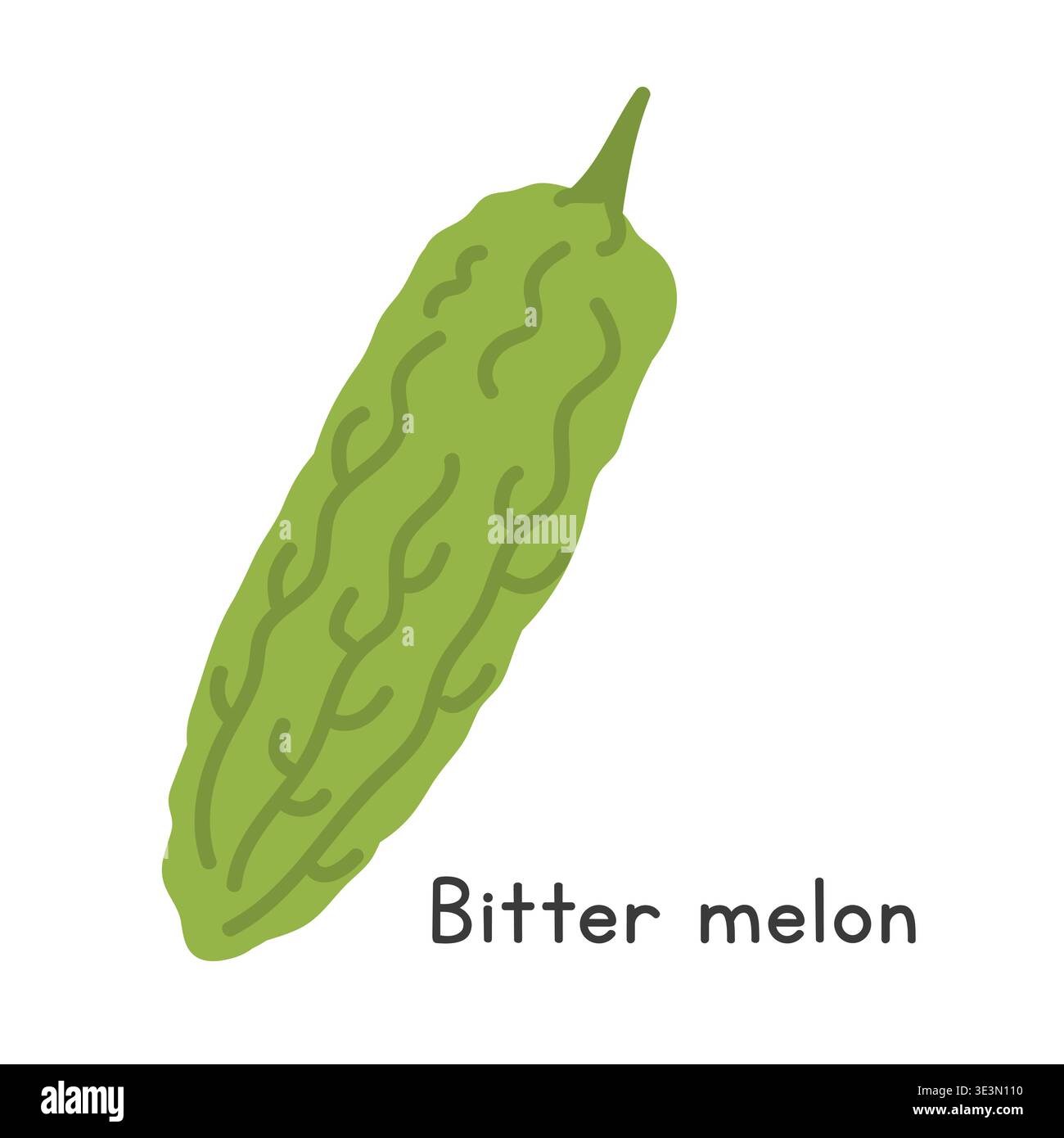 Bitter melon flat vector illustration. Green bitter melon cartoon ...
