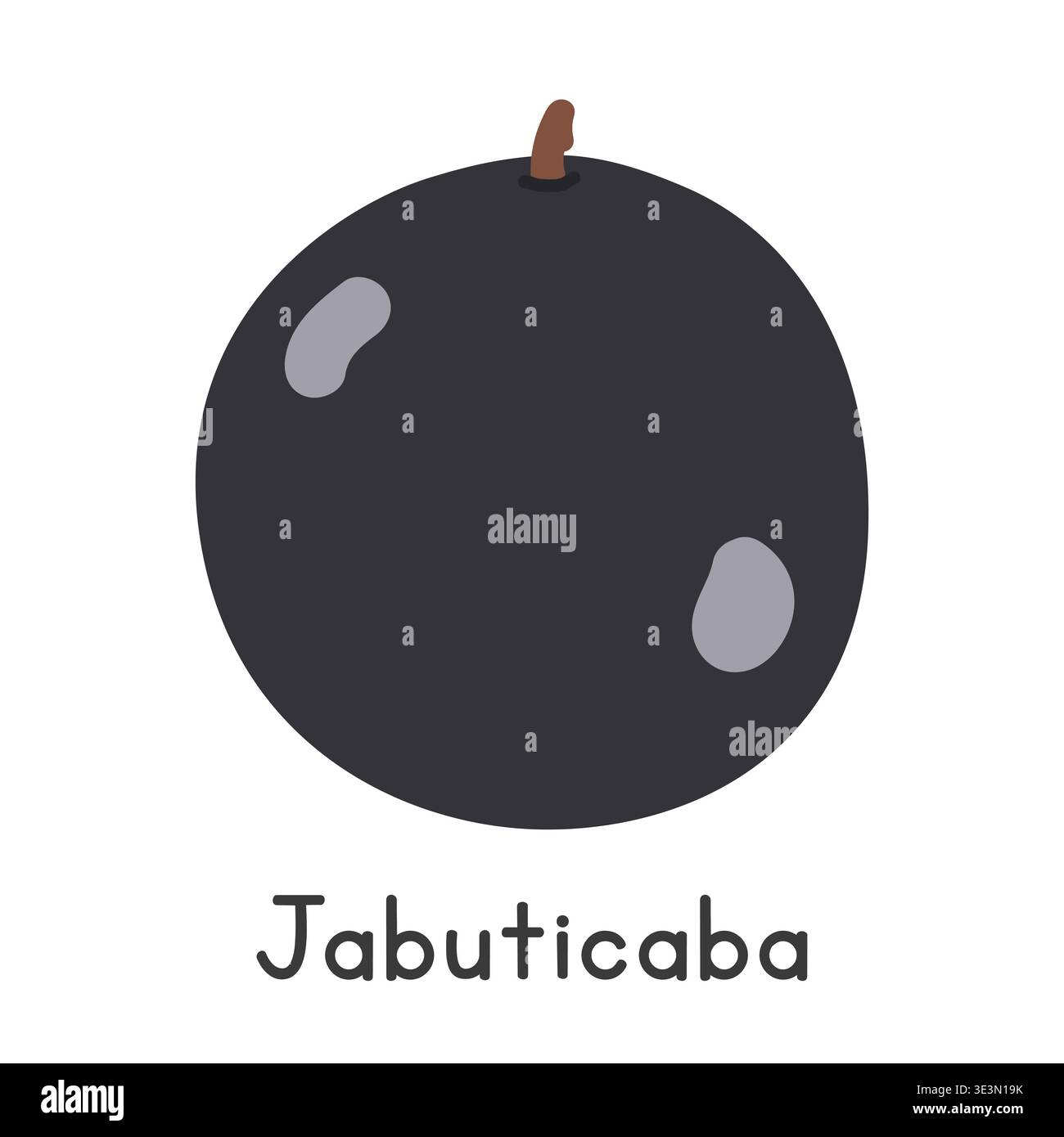 Jabuticaba flat vector illustration. Black jabuticaba or Brazilian ...
