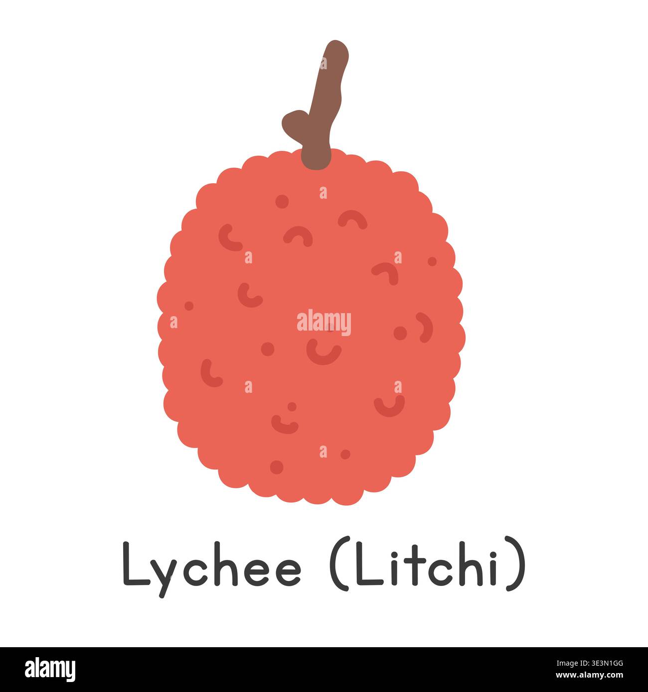 Lychee flat vector illustration. Lychee or Litchi cartoon clipart style ...