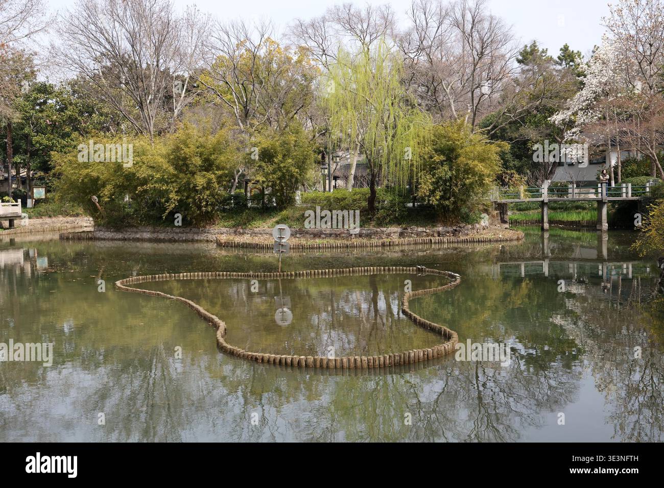 Hongyuan park welcomes visitors with lush greenery and blooming flowers ...