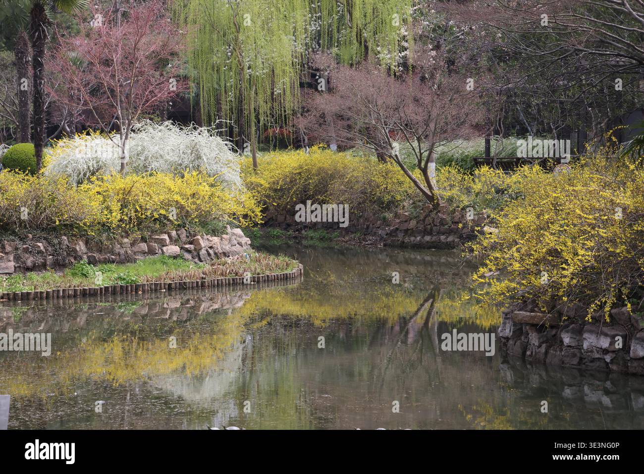 Hongyuan park welcomes visitors with lush greenery and blooming flowers ...