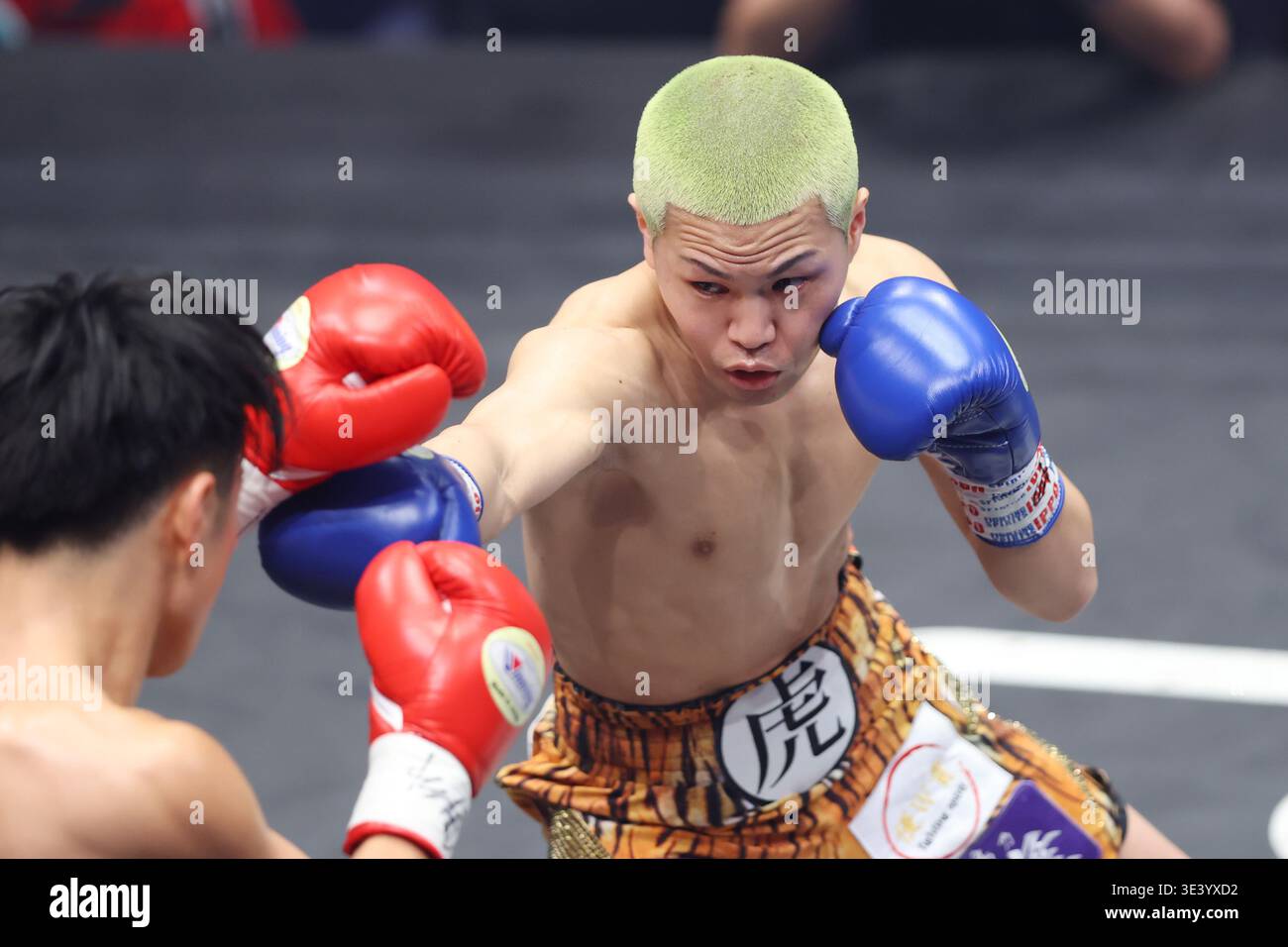 Masatora Okada, MARCH 24, 2026 - Boxing : Japan Minimumweight ...