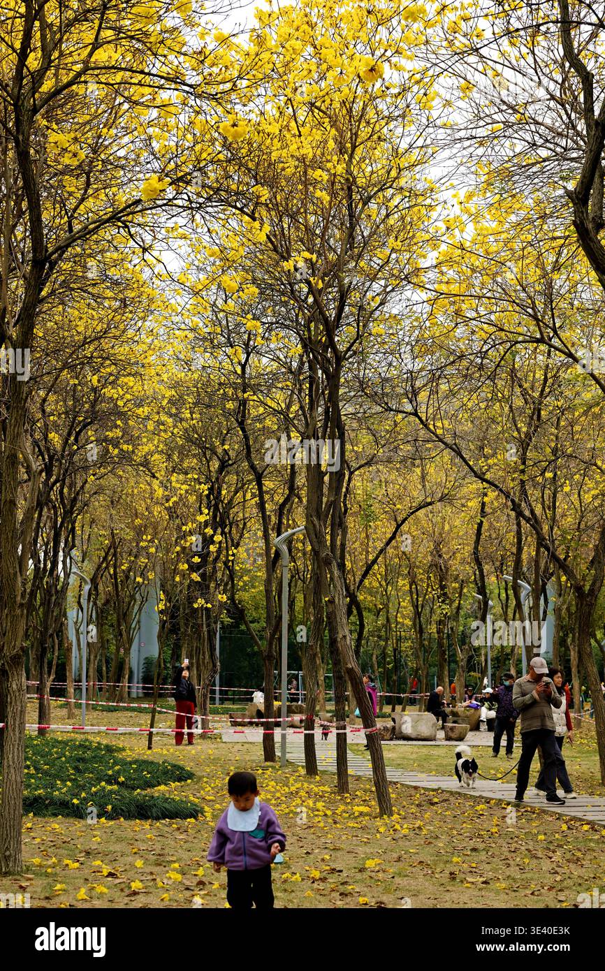 **CHINESE MAINLAND, HONG KONG, MACAU AND TAIWAN OUT**Visitors enjoy the ...