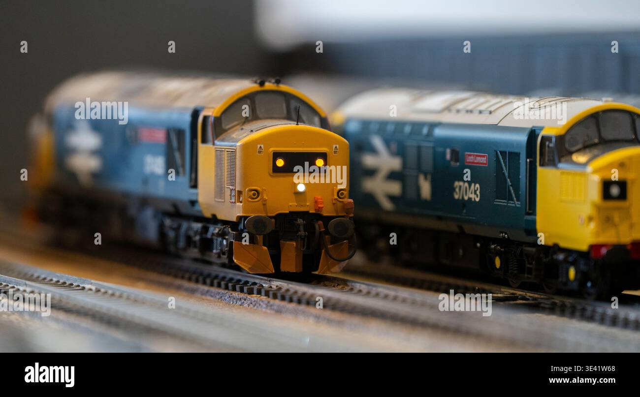 BR Large Logo Class 37 diesel locomotives. OO scale models including ...