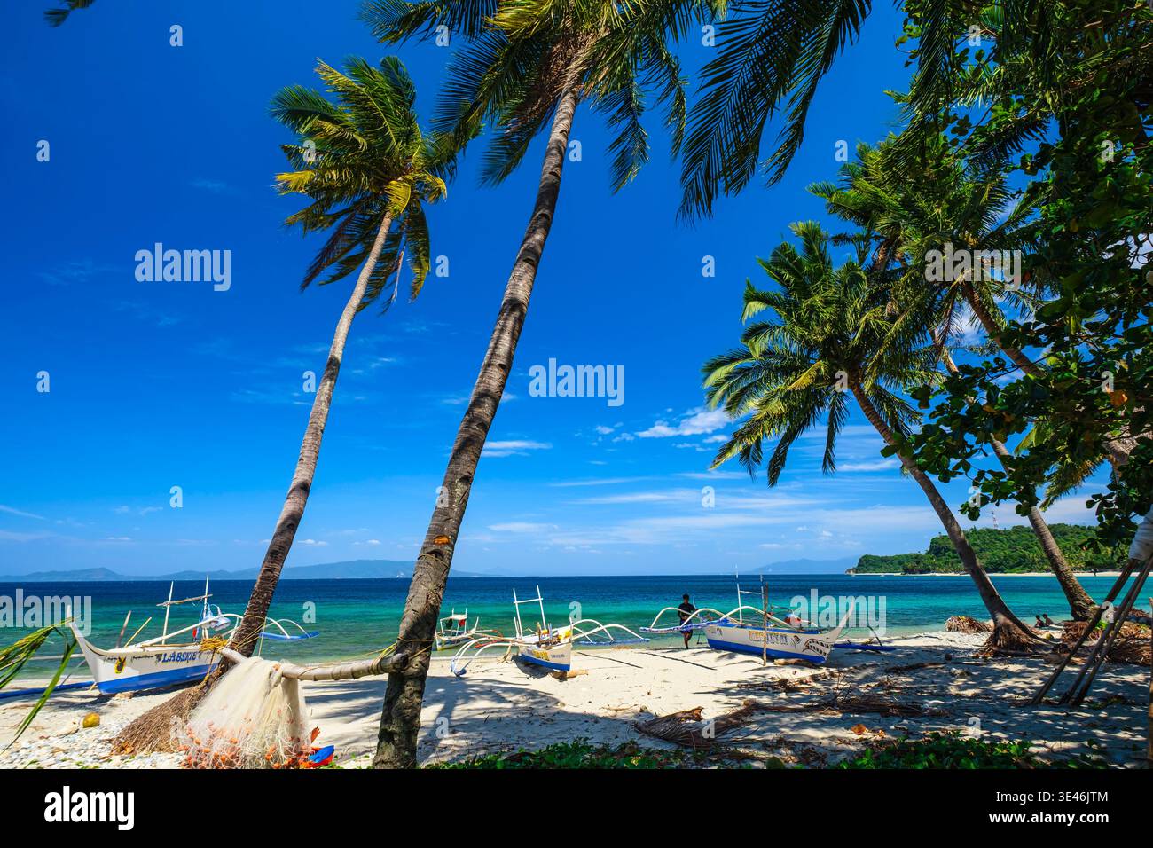 Philippines, Mimaropa region, Oriental Mindoro province, Mindoro island ...