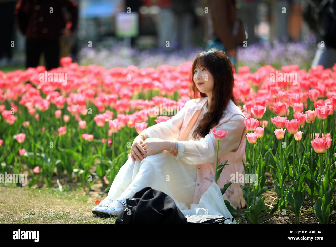 Visitors enjoy and photograph tulips at the 13th Tulip Flower ...