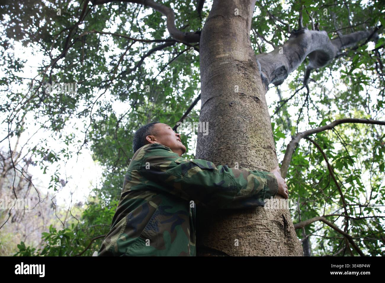 The volunteers protecting ancient bayberry trees hugged a giant wild ...