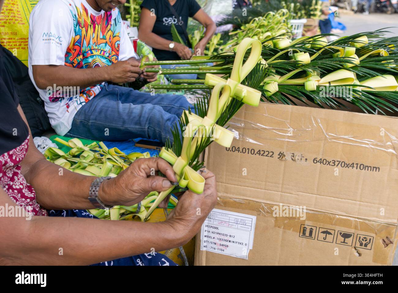 Palm fromds hi-res stock photography and images - Alamy