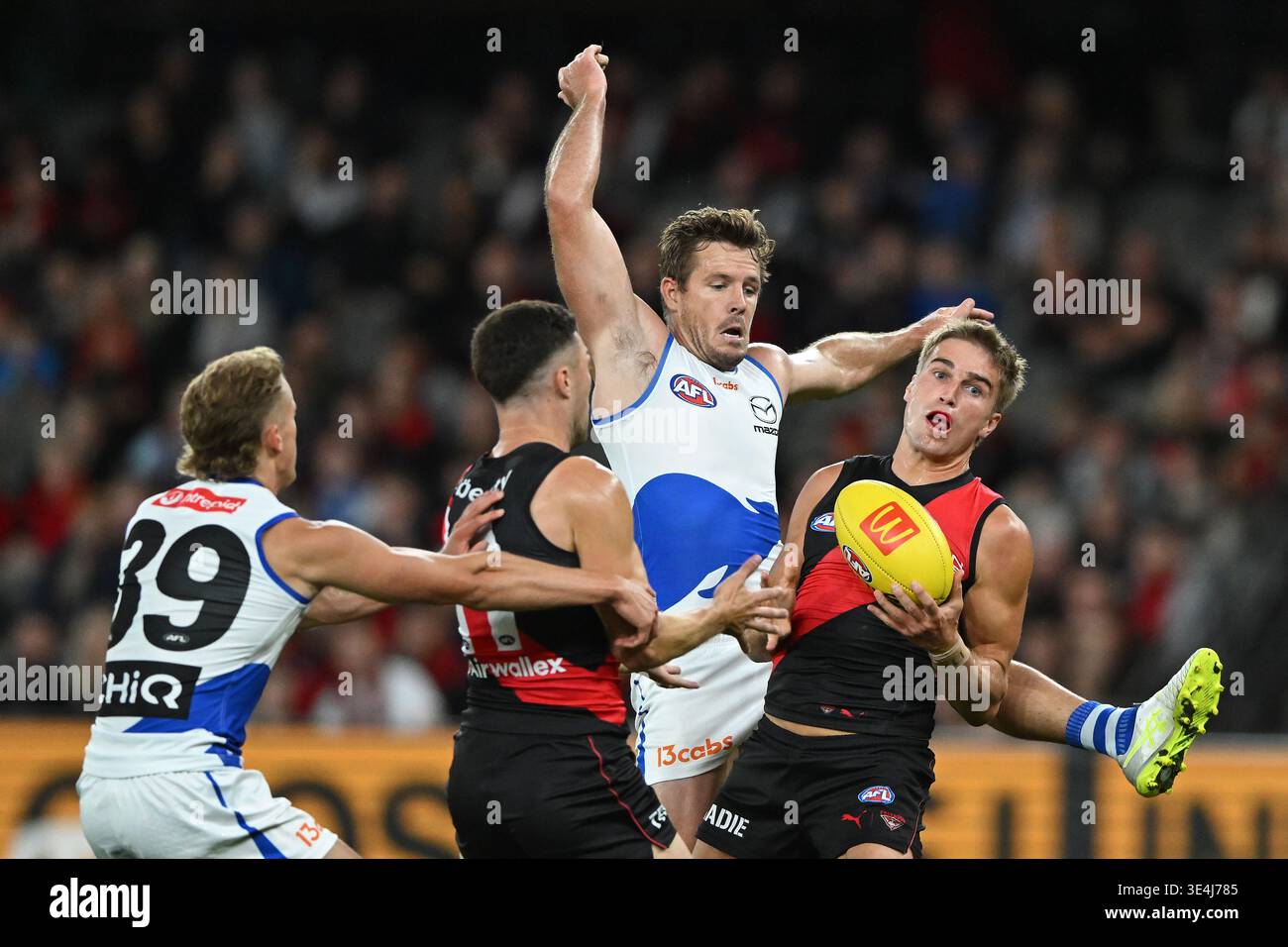 Matt Guelfi of Essendon (right) marks the footy during the AFL Round 3 ...