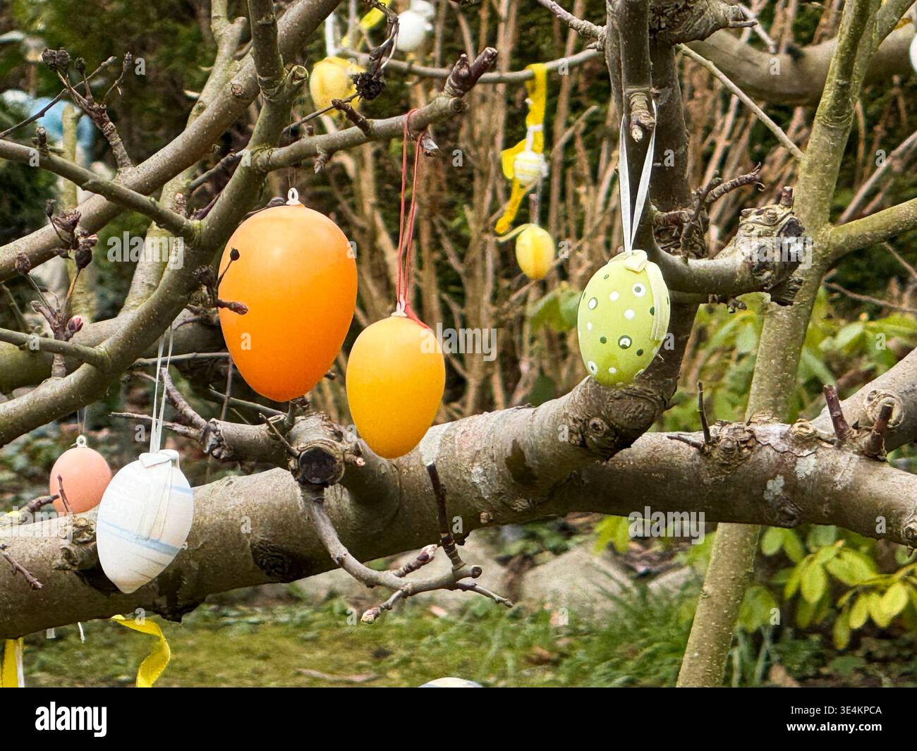 SYMB/OSTERDEKO - Bunte Plastik Oster Eier haengen am Baum Ast Zweig als ...
