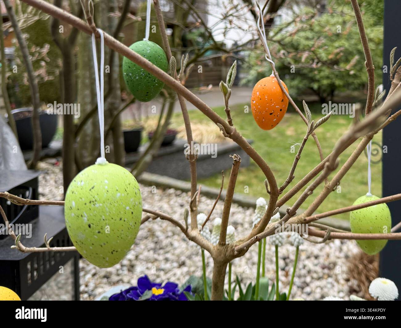 SYMB/OSTERDEKO- Bunte Plastik Oster Eiern am Baum Ast Zweig geschmueckt ...