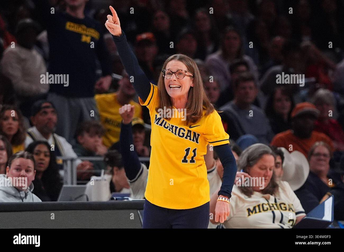 Michigan head coach Kim Barnes Arico reacts to play against Louisville ...