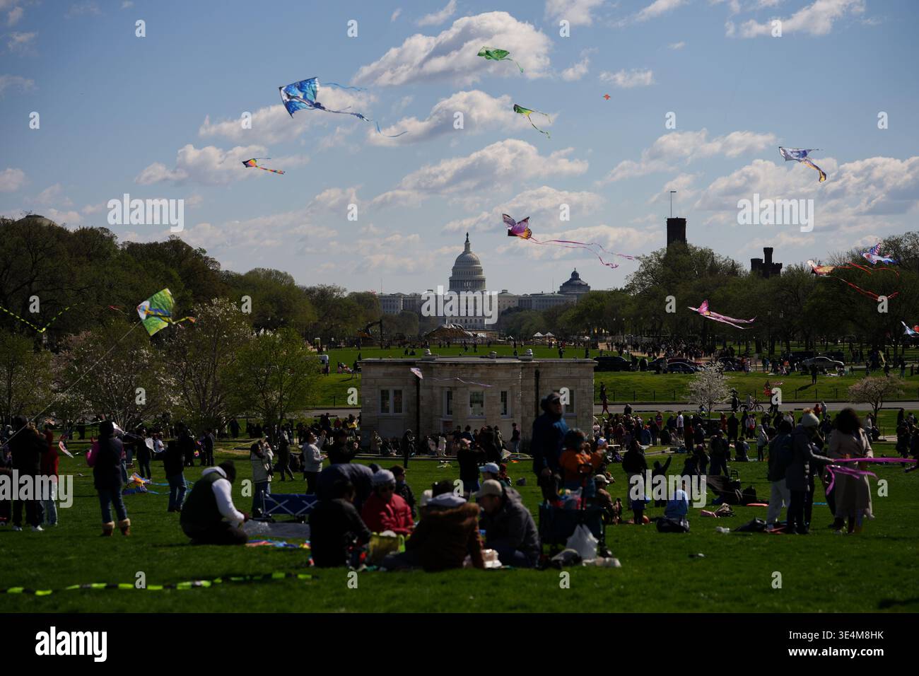 Kites fly over the U.S. Capitol during the Cherry Blossom Kite Festival ...