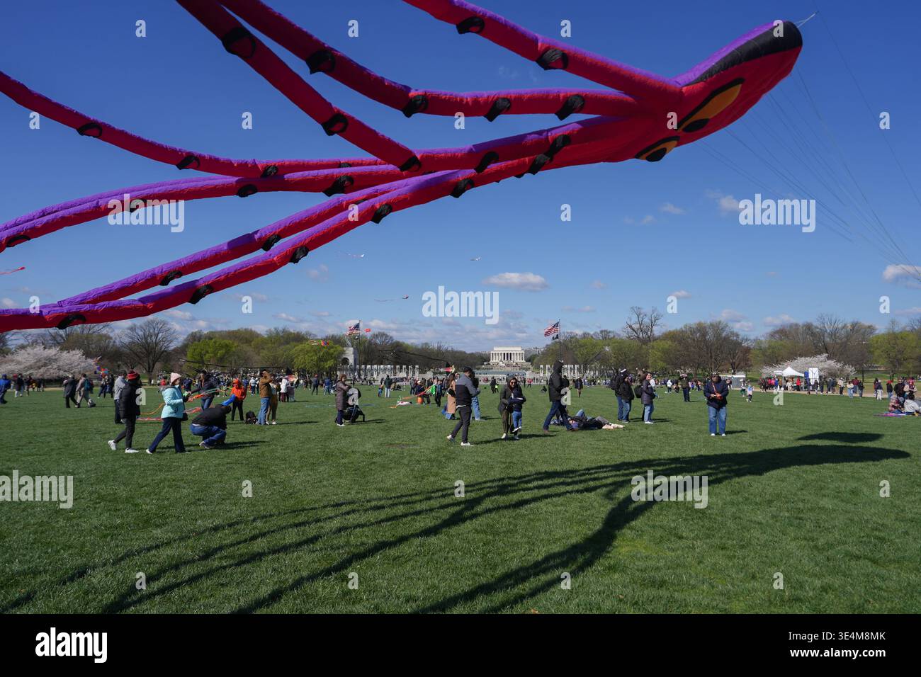 Kites fly over the Lincoln Memorial during the Cherry Blossom Kite ...