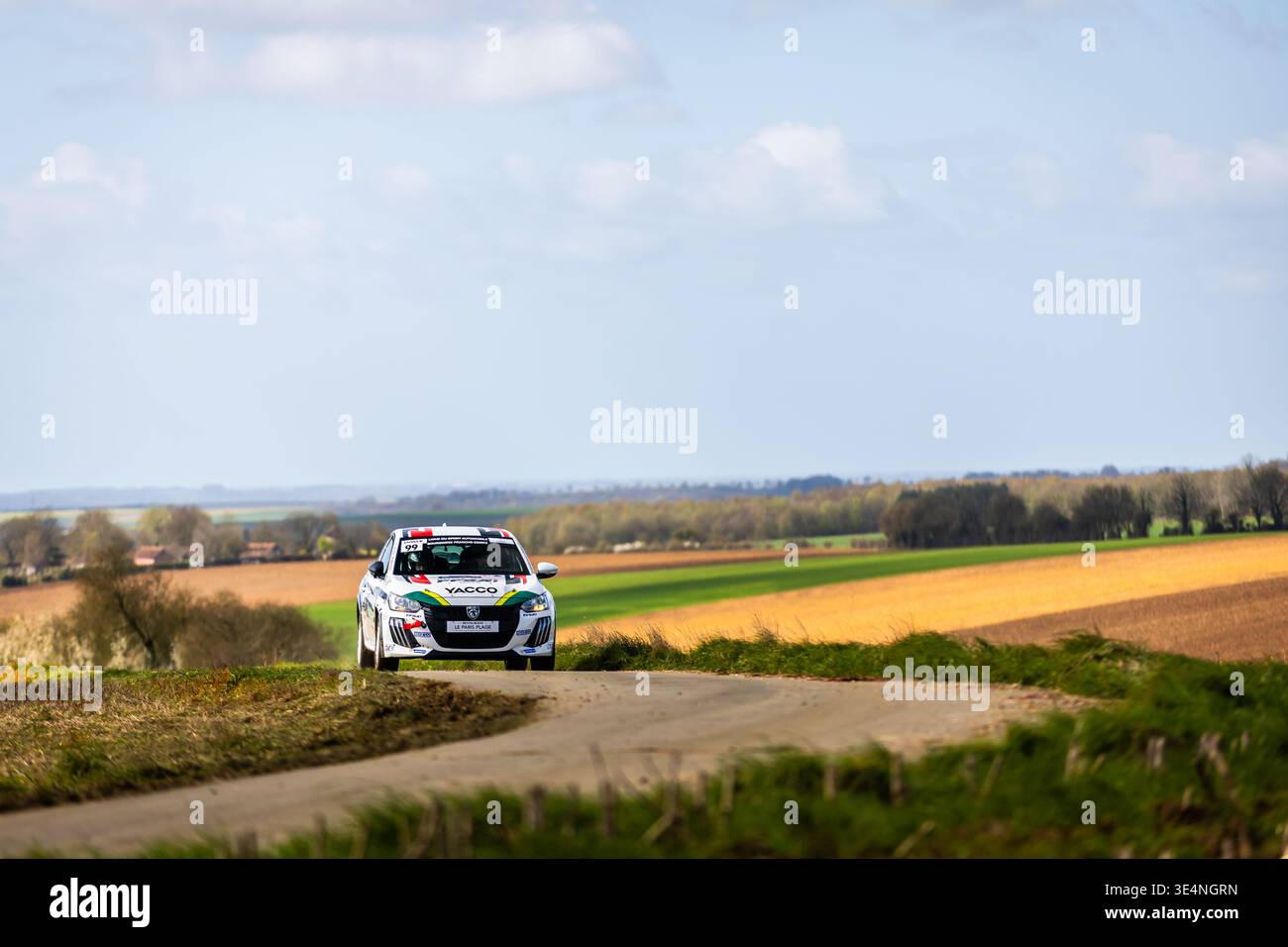 99 PERRIN Romain, GOUTRY - ANDRE Albin, Peugeot 208 Rally6, action ...
