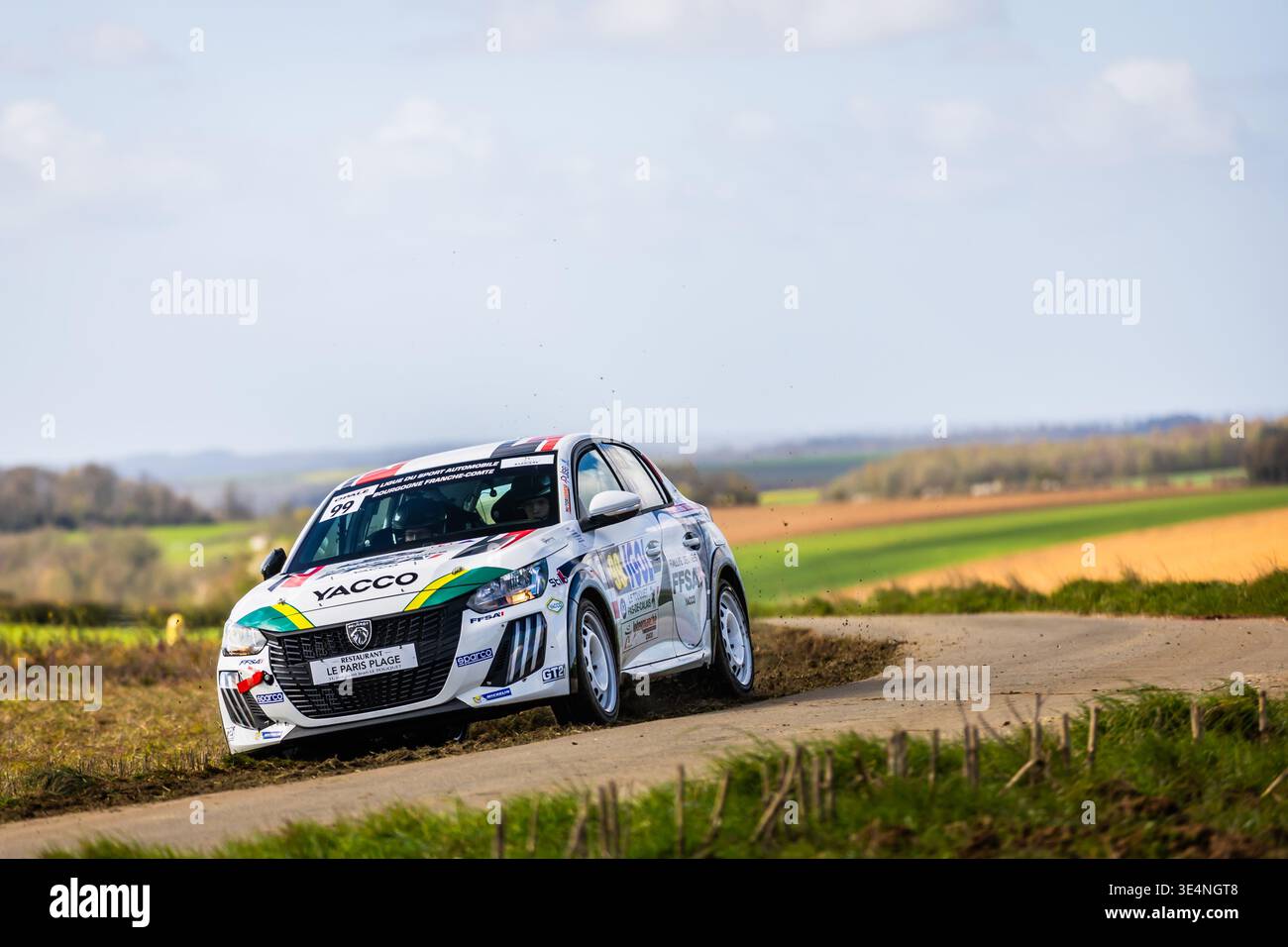 99 PERRIN Romain, GOUTRY - ANDRE Albin, Peugeot 208 Rally6, action ...