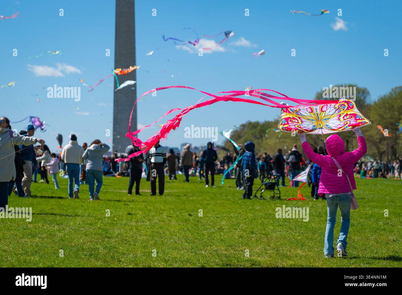 Hundreds of enthusiasts flew kites on the National Mall during the ...