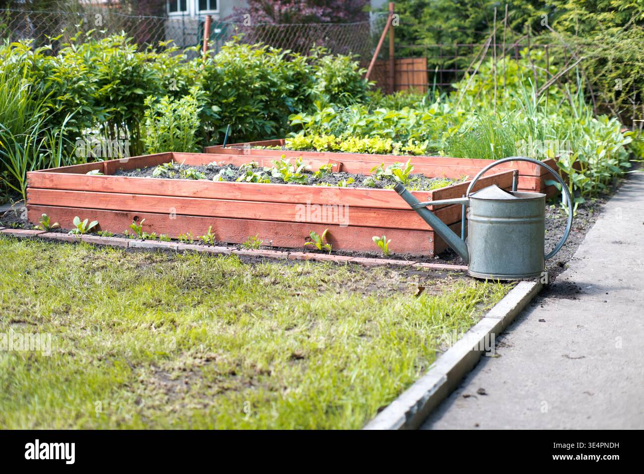 Family vegetable plot in garden hi-res stock photography and images - Alamy