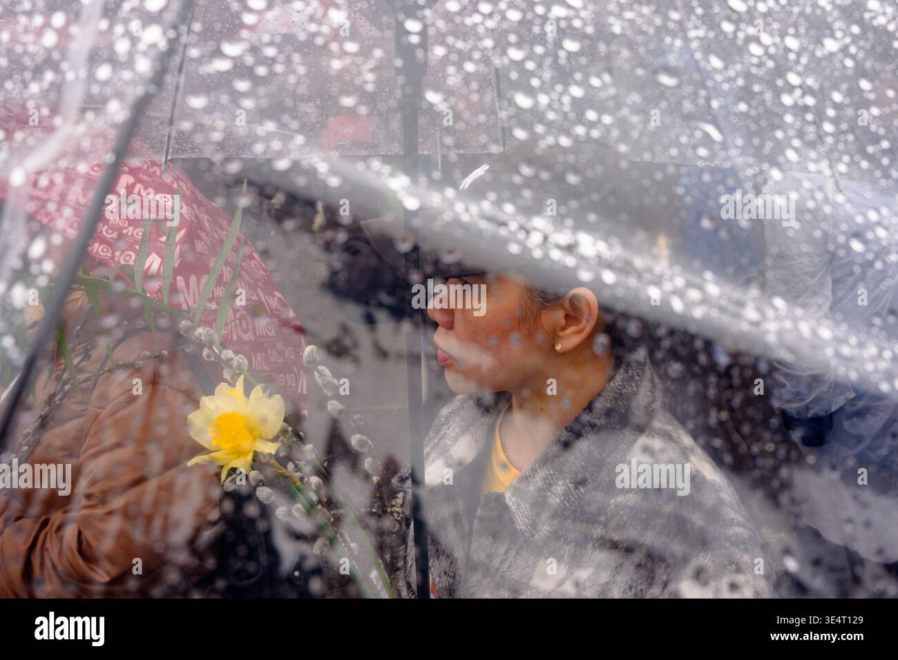 A catholic faithful, sheltering from the rain, holds a flower during a ...