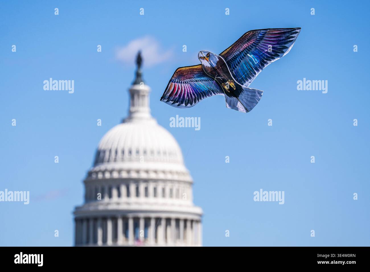 UNITED STATES - MARCH 28: An eagle kite flies near the U.S. Capitol ...