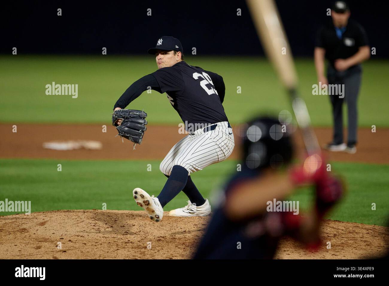 New York Yankees pitcher Harrison Cohen (29) delivers a pitch during an ...