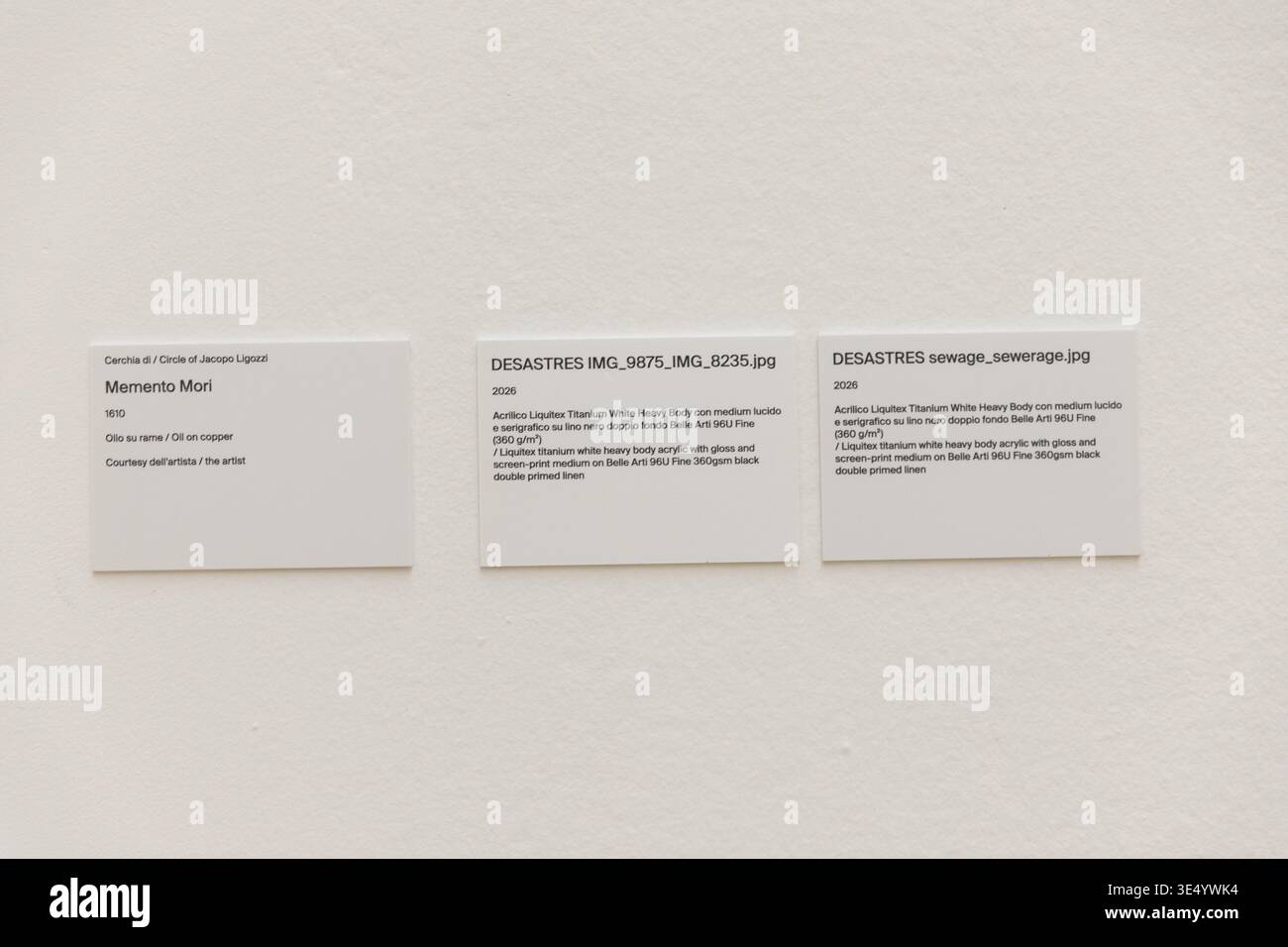 Milan, PAC, Press preview of the exhibition 'Marco Fusinato - The only ...