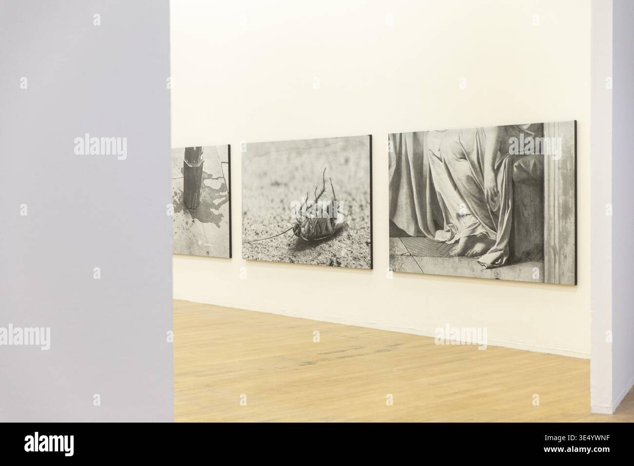 Milan, PAC, Press preview of the exhibition 'Marco Fusinato - The only ...