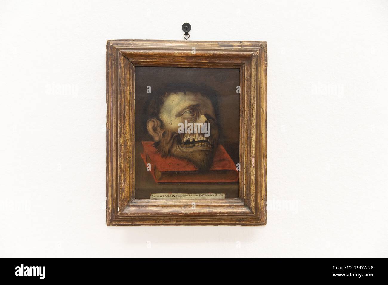 Milan, PAC, Press preview of the exhibition 'Marco Fusinato - The only ...