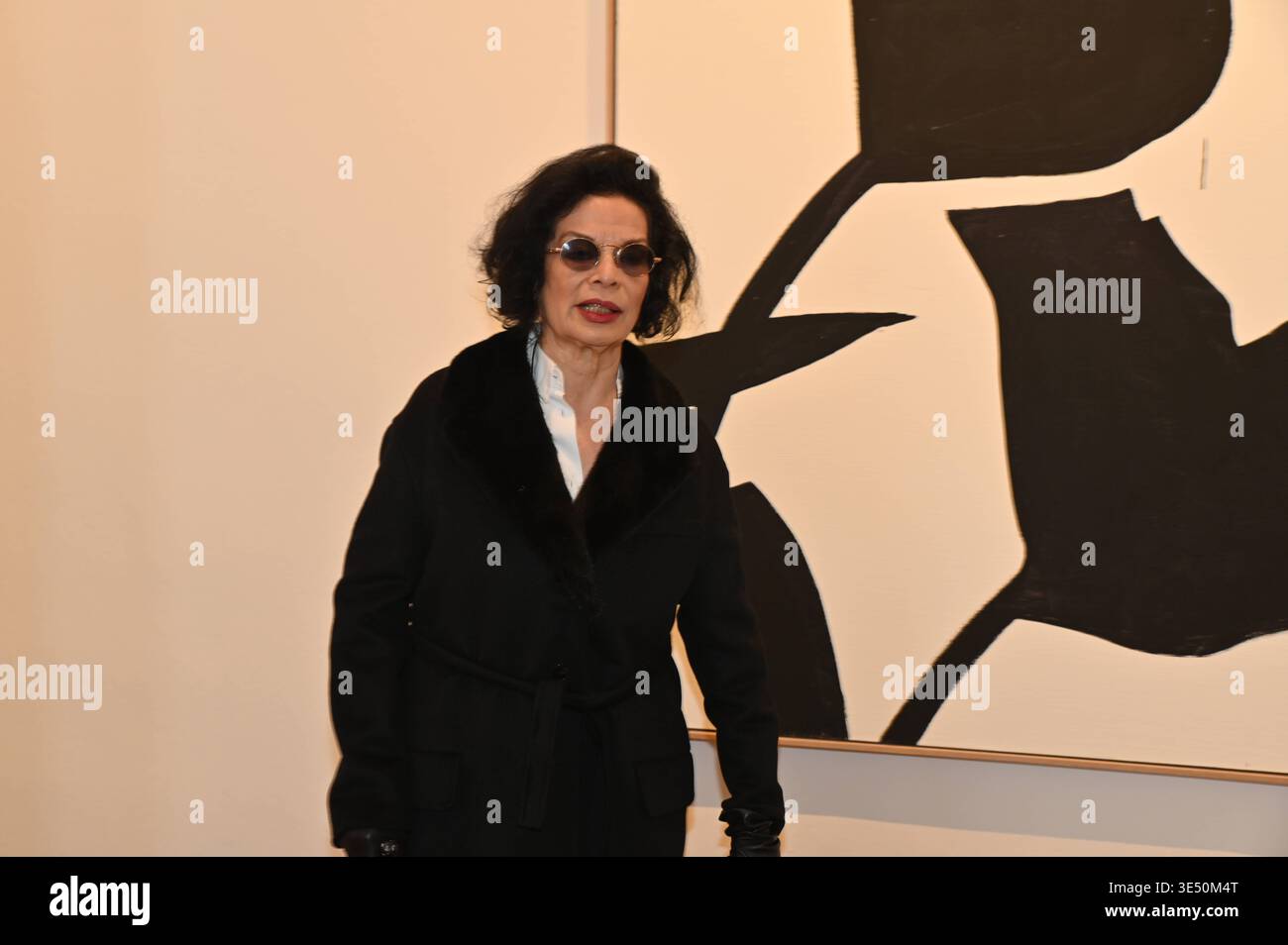 Bianca Jagger, Galerie Ropac, Vernissage, Alex Katz, Sylvie Fleury ...