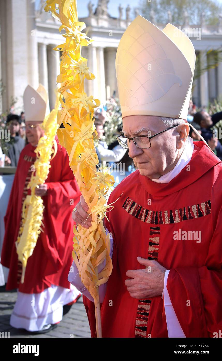 Cardinal Pietro Parolin, Pope Leon XIV celebrates the Palm Sunday mass ...