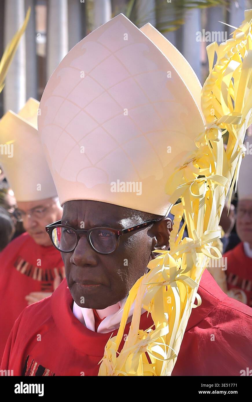 Cardinal Robert Sarah,Pope Leon XIV celebrates the Palm Sunday mass in ...