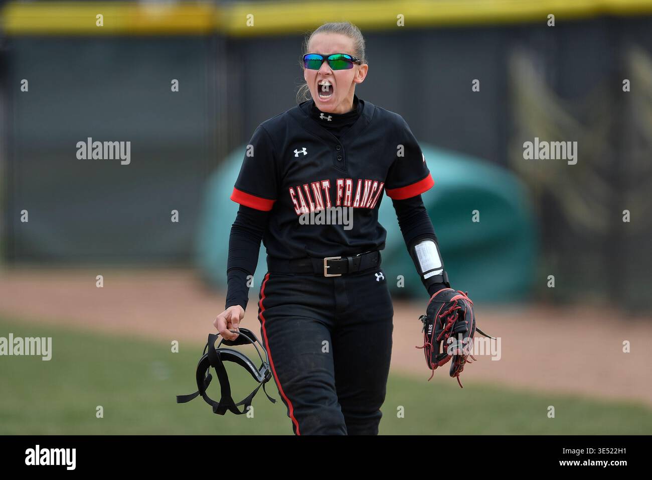 Saint Francis' Haley Brag (2) reacts during an NCAA softball game ...