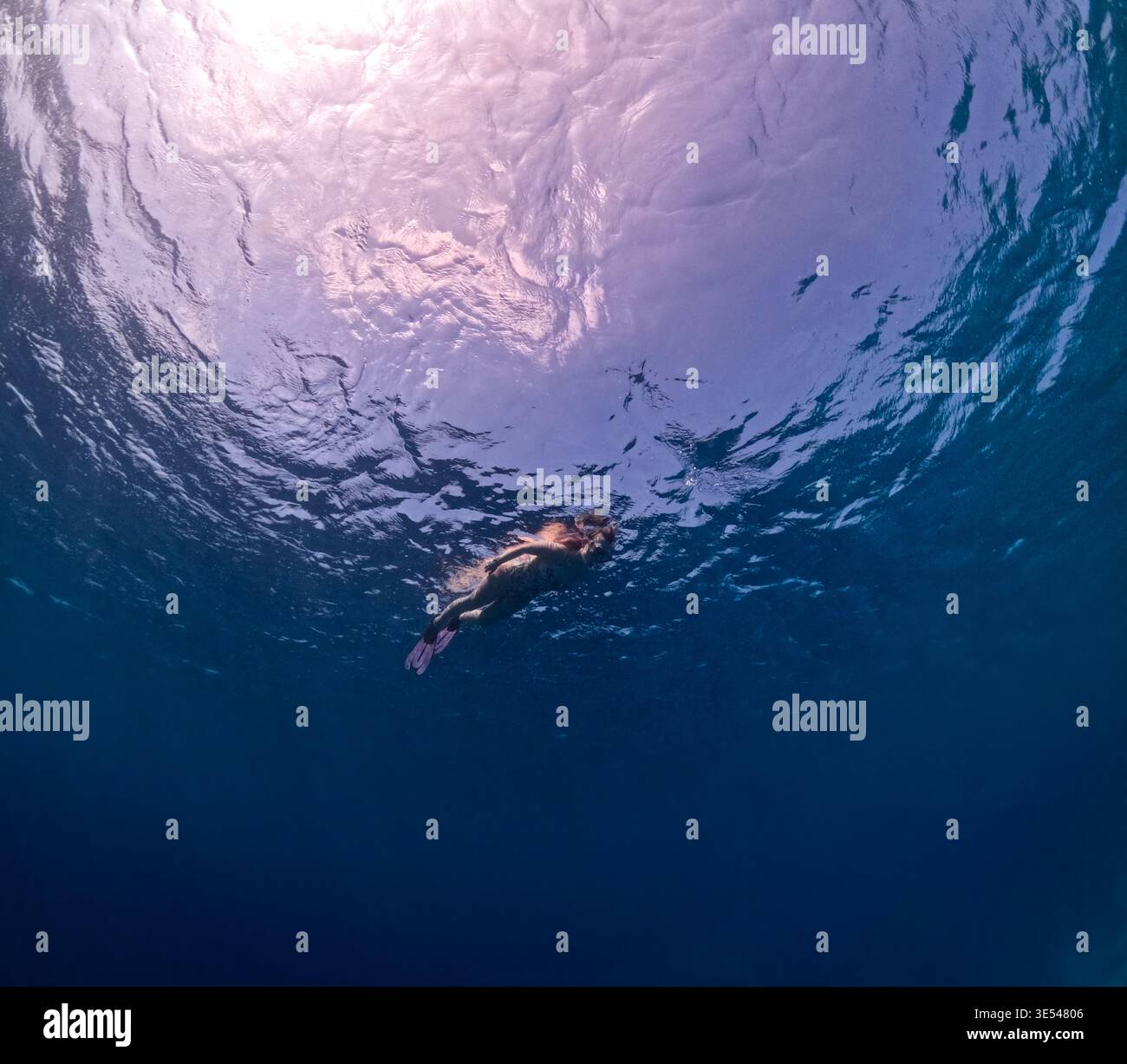 Female underwater swimmer with fins near surface hi-res stock ...