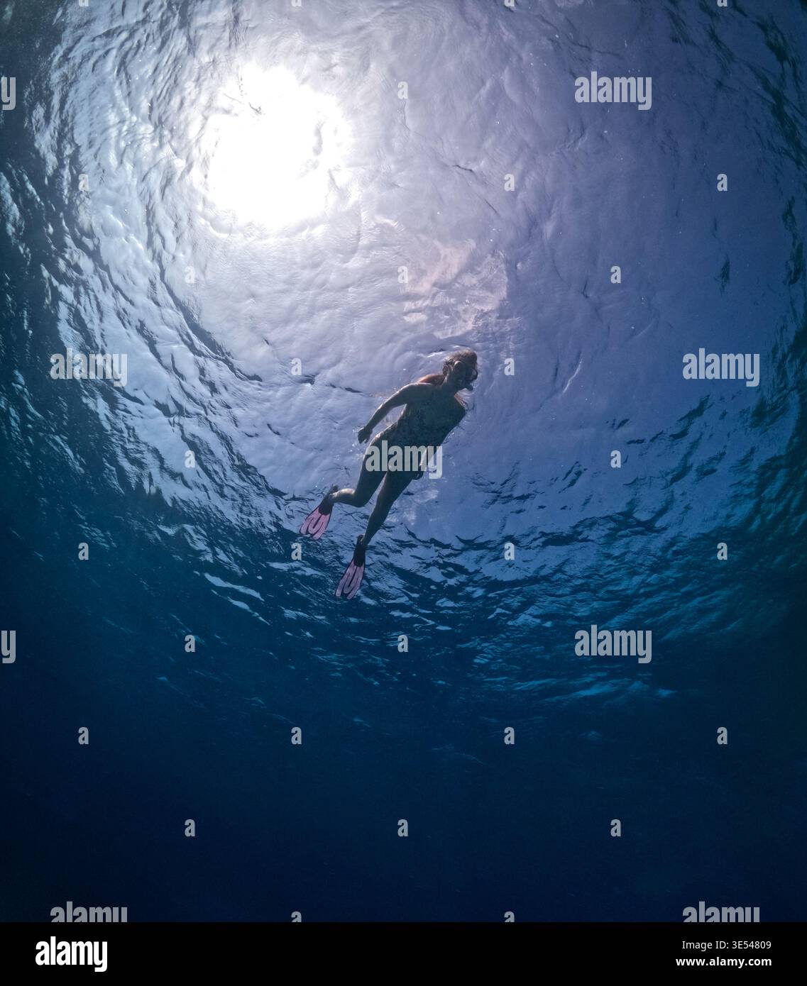 Female underwater swimmer with fins near surface hi-res stock ...