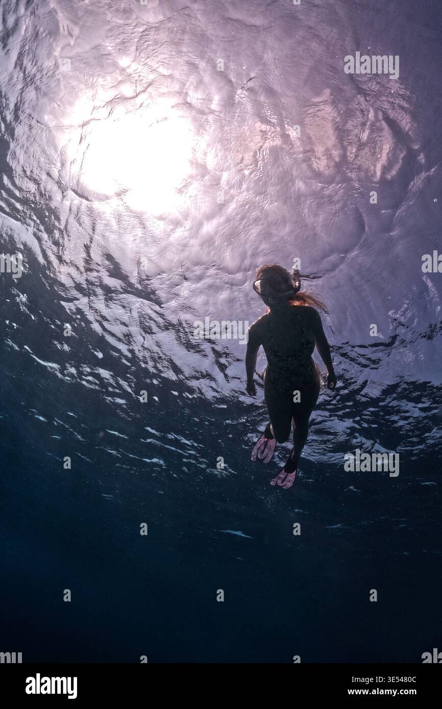 Female underwater swimmer with fins near surface hi-res stock ...