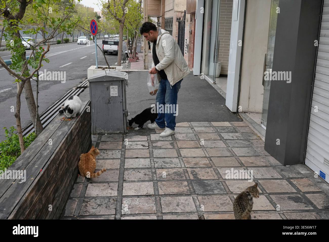 A man feeds stray cats in Tehran, Iran, Tuesday, March 31, 2026. (AP ...