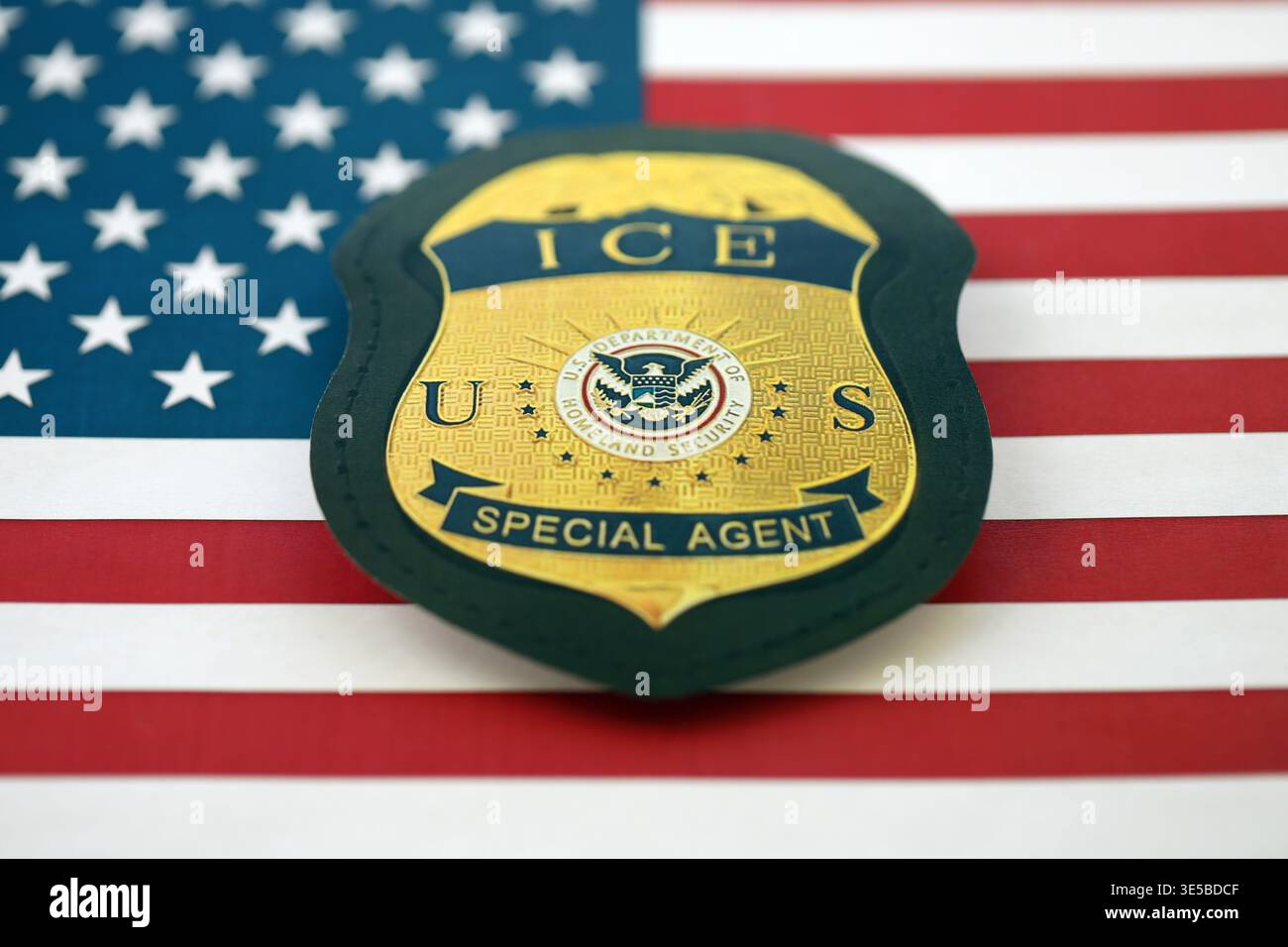 KYIV, UKRAINE - MARCH 13, 2026 Department of Homeland Security USCIS ...