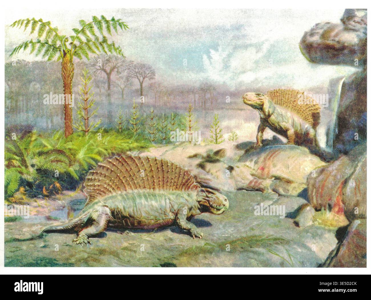 Edaphosaurus pogonias (Naosaurus). Ancient prehistoric landscape with ...