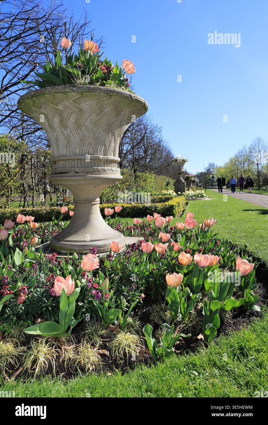 Spring flowers in Regents Park on a sunny day, March 2026, one of ...