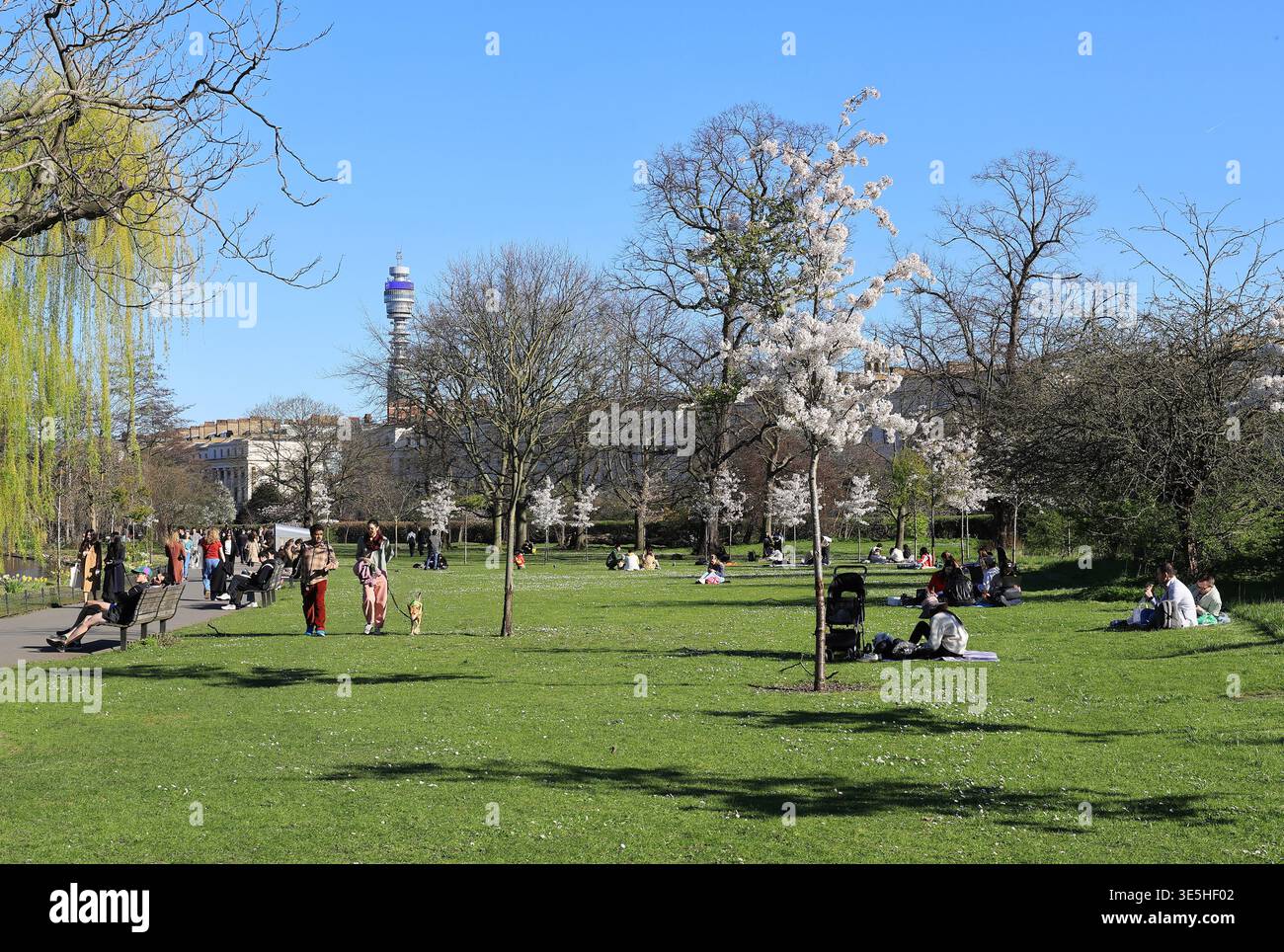 Spring flowers in Regents Park on a sunny day, March 2026, one of ...